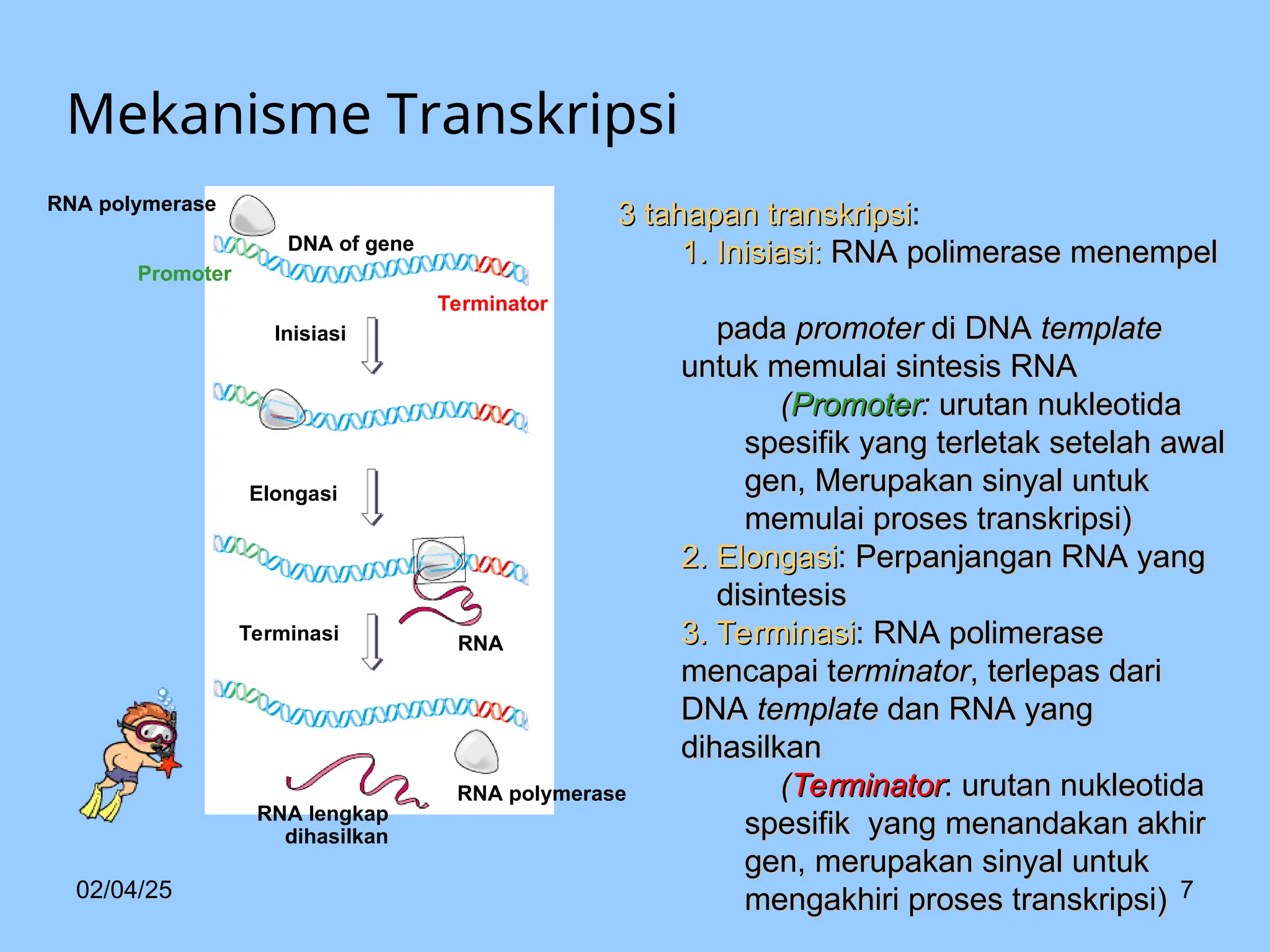 proses Transkripsi_dan_Translasi_DNA.ppt