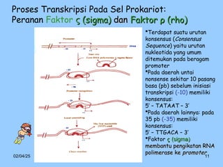 proses Transkripsi_dan_Translasi_DNA.ppt