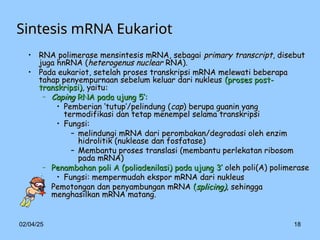 proses Transkripsi_dan_Translasi_DNA.ppt