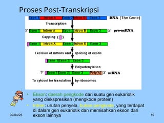 proses Transkripsi_dan_Translasi_DNA.ppt
