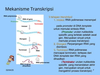 proses Transkripsi_dan_Translasi_DNA.ppt