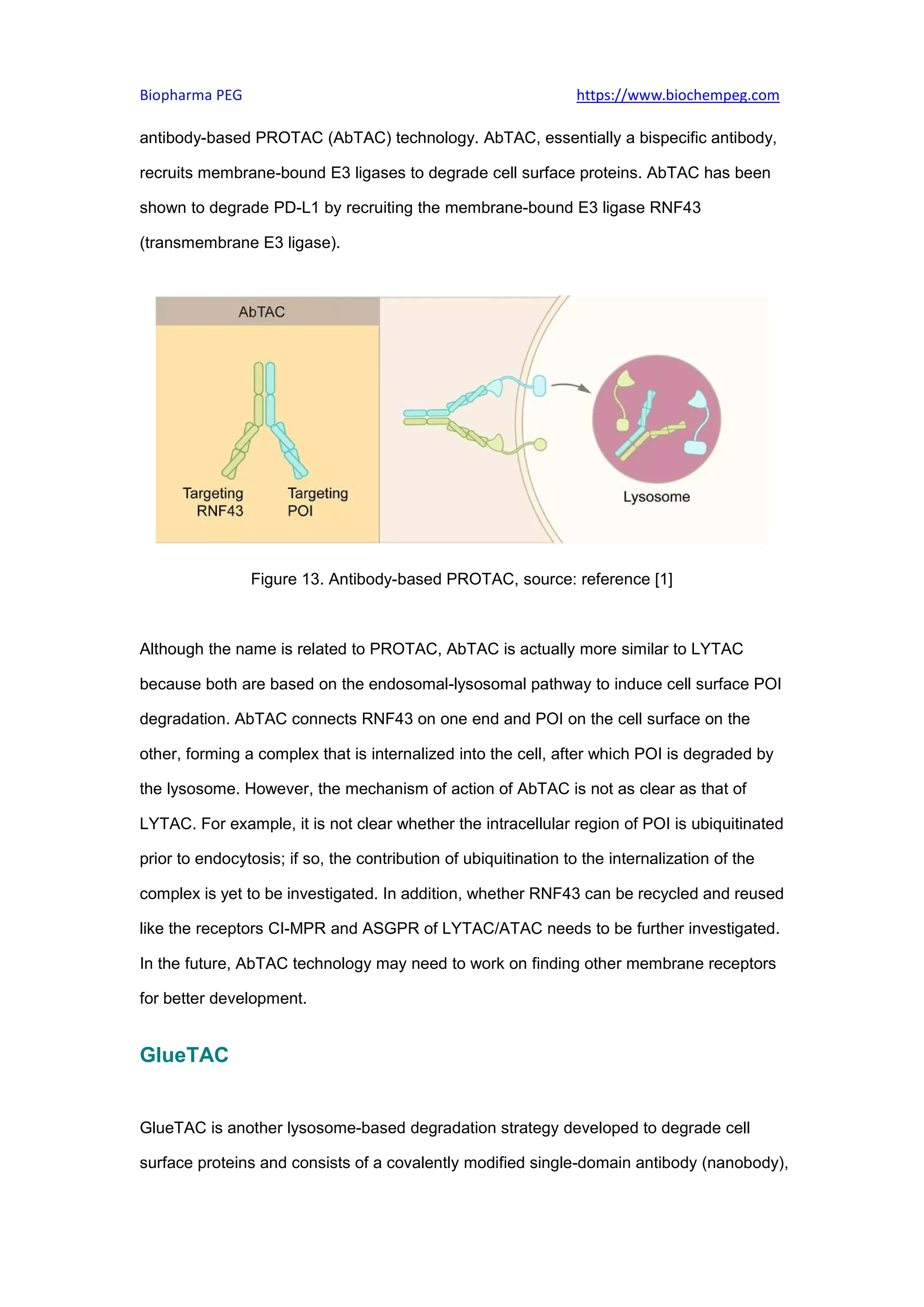 12 Types of Targeted Protein Degradation Technologies.pdf