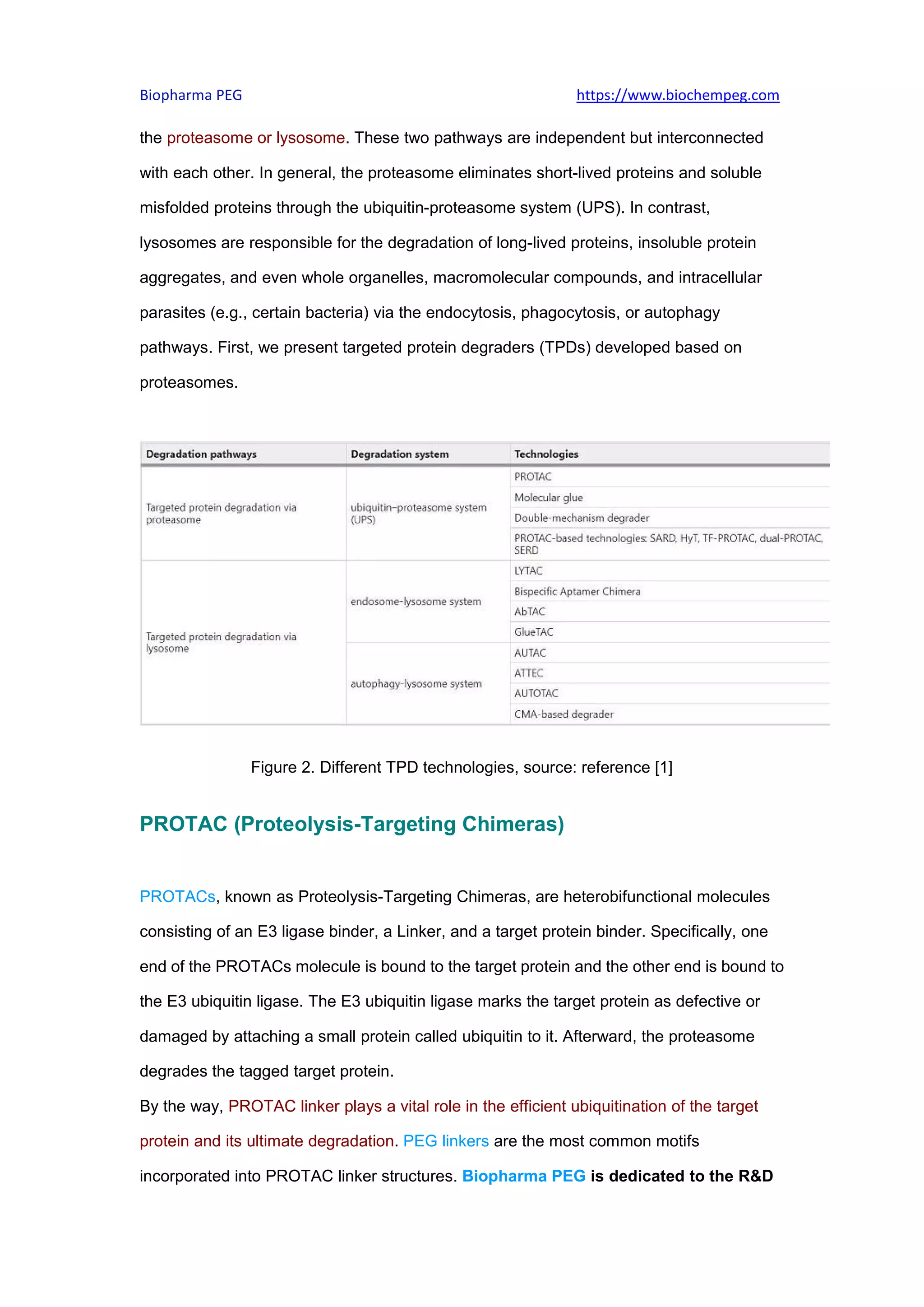 12 Types of Targeted Protein Degradation Technologies.pdf