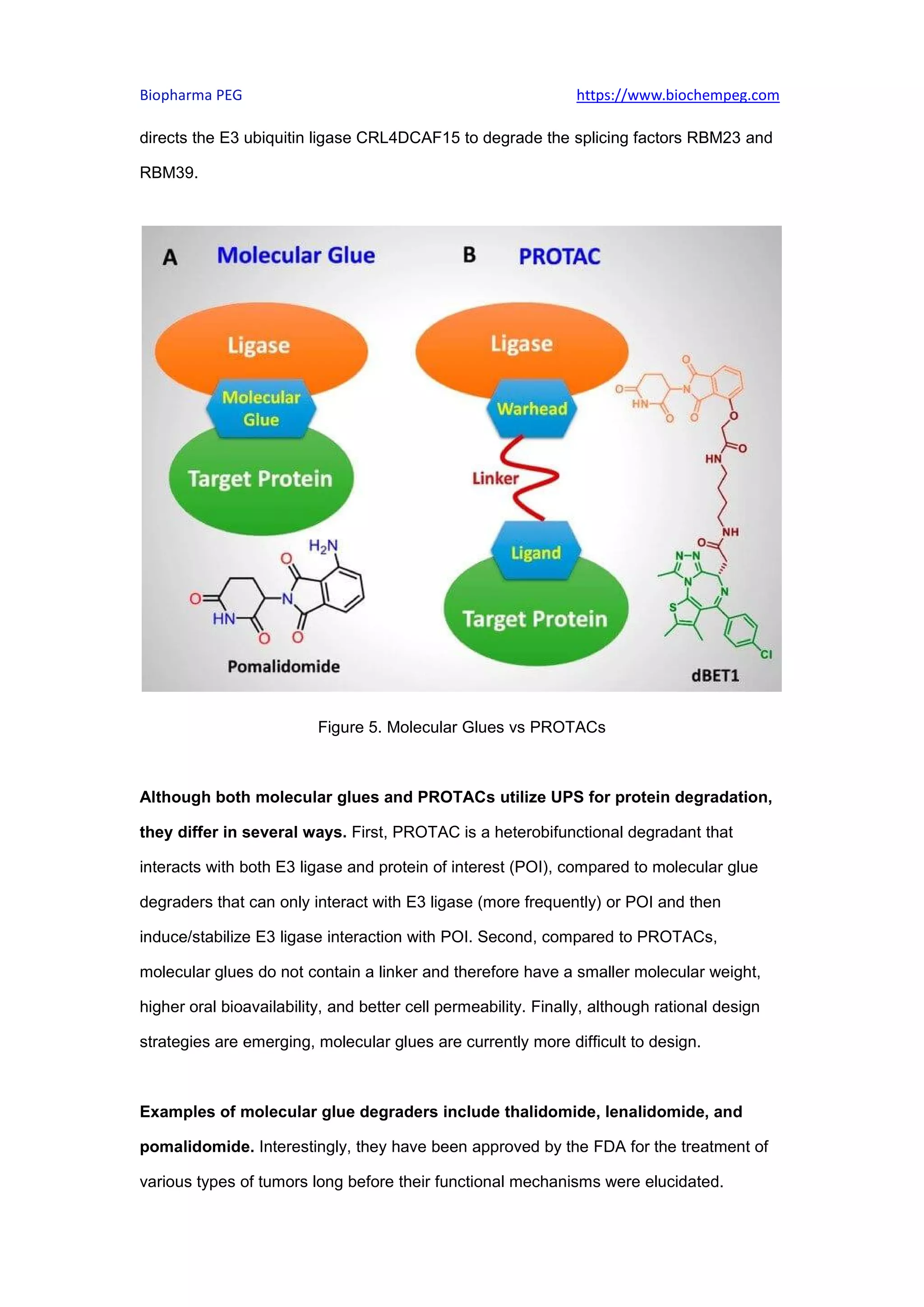 12 Types of Targeted Protein Degradation Technologies.pdf