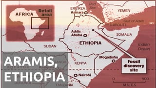 New Discoveries Regarding Evolution | PDF