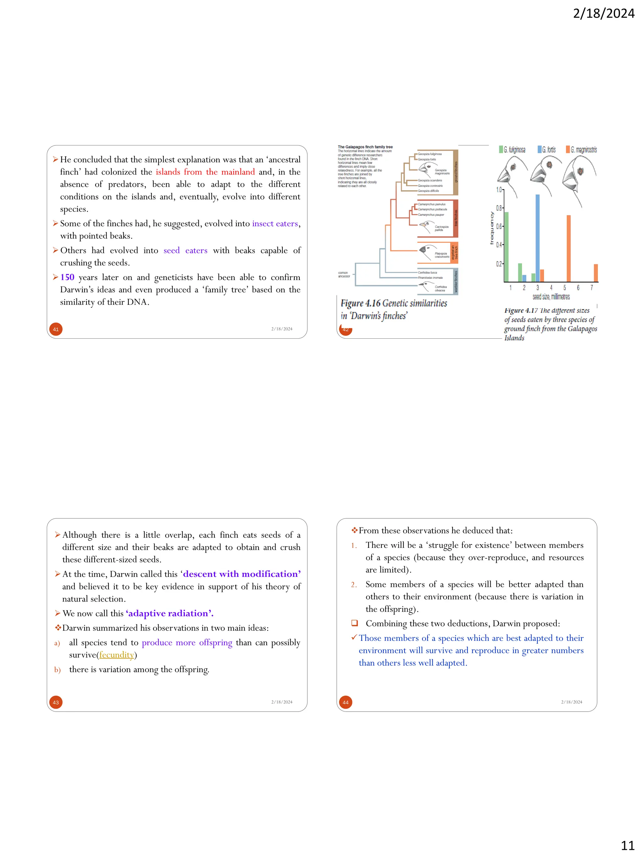 Grade 12 Biology teaching material on evolution | PDF