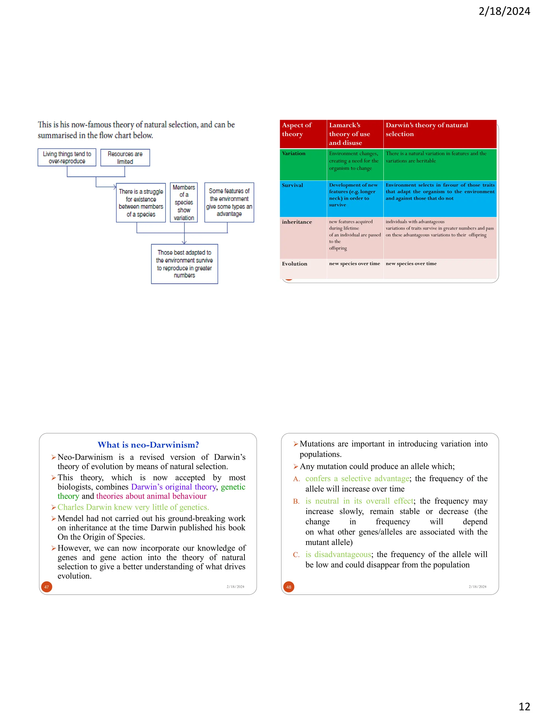 Grade 12 Biology teaching material on evolution | PDF