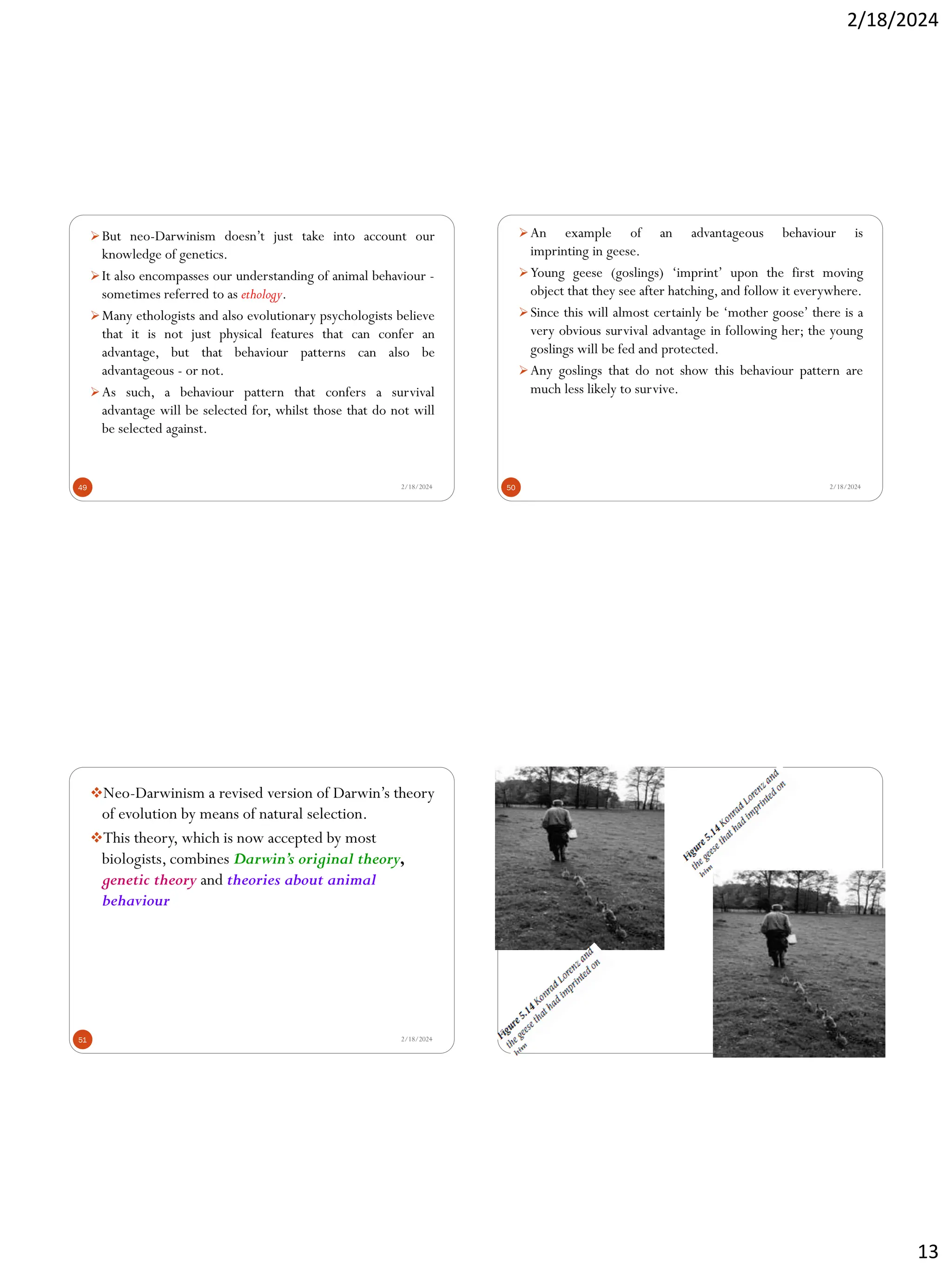 Grade 12 Biology teaching material on evolution | PDF