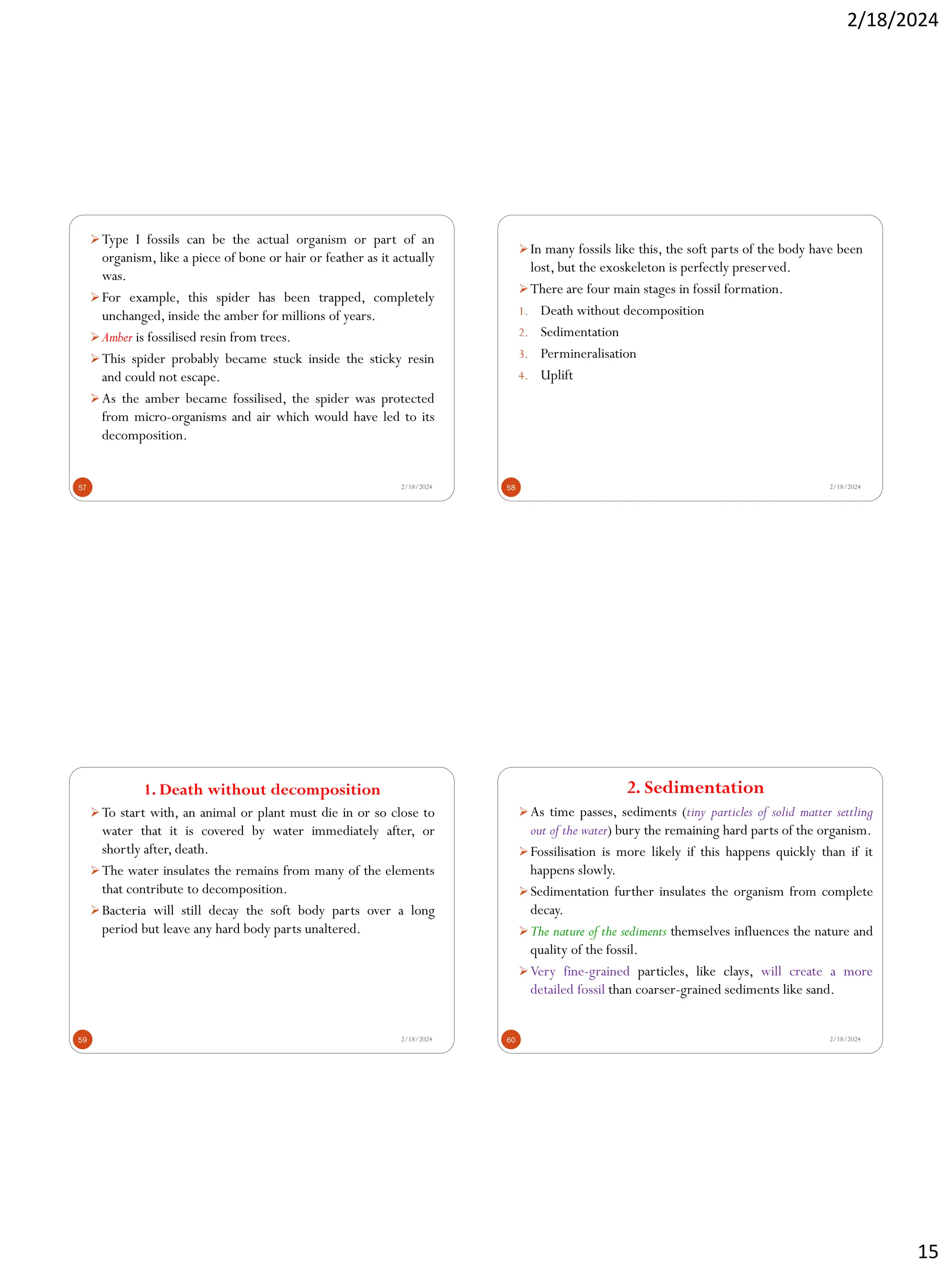 Grade 12 Biology teaching material on evolution | PDF