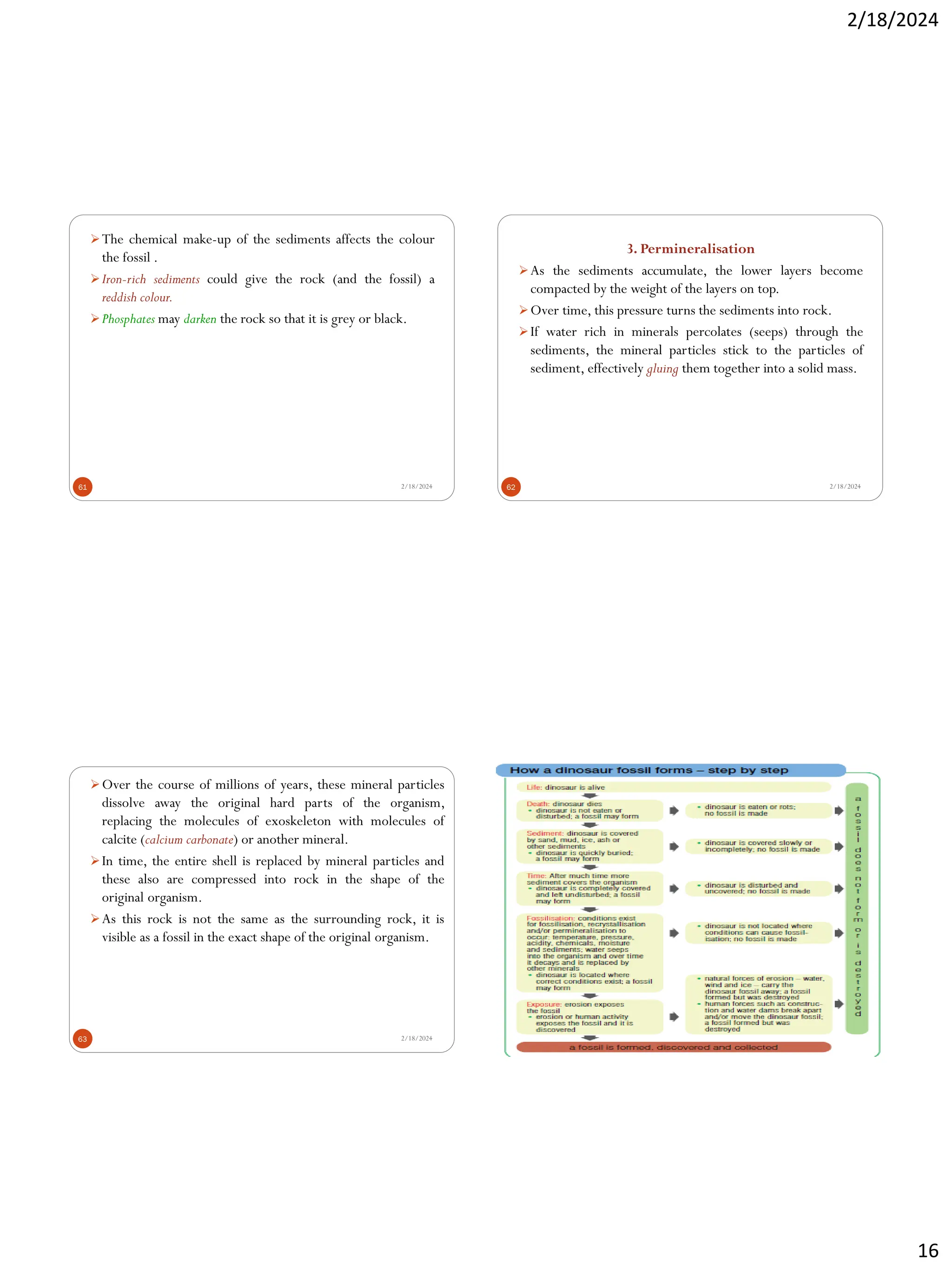 Grade 12 Biology teaching material on evolution | PDF