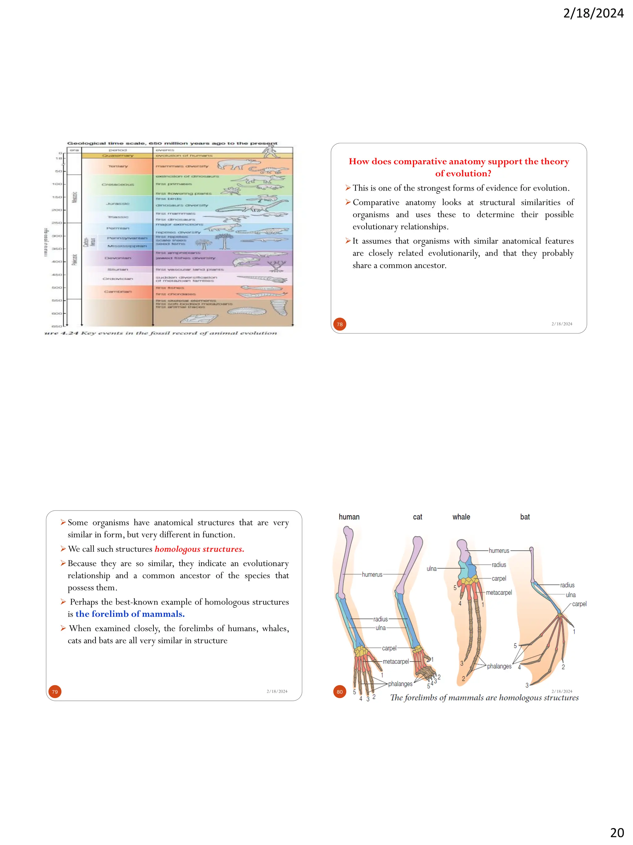Grade 12 Biology teaching material on evolution | PDF