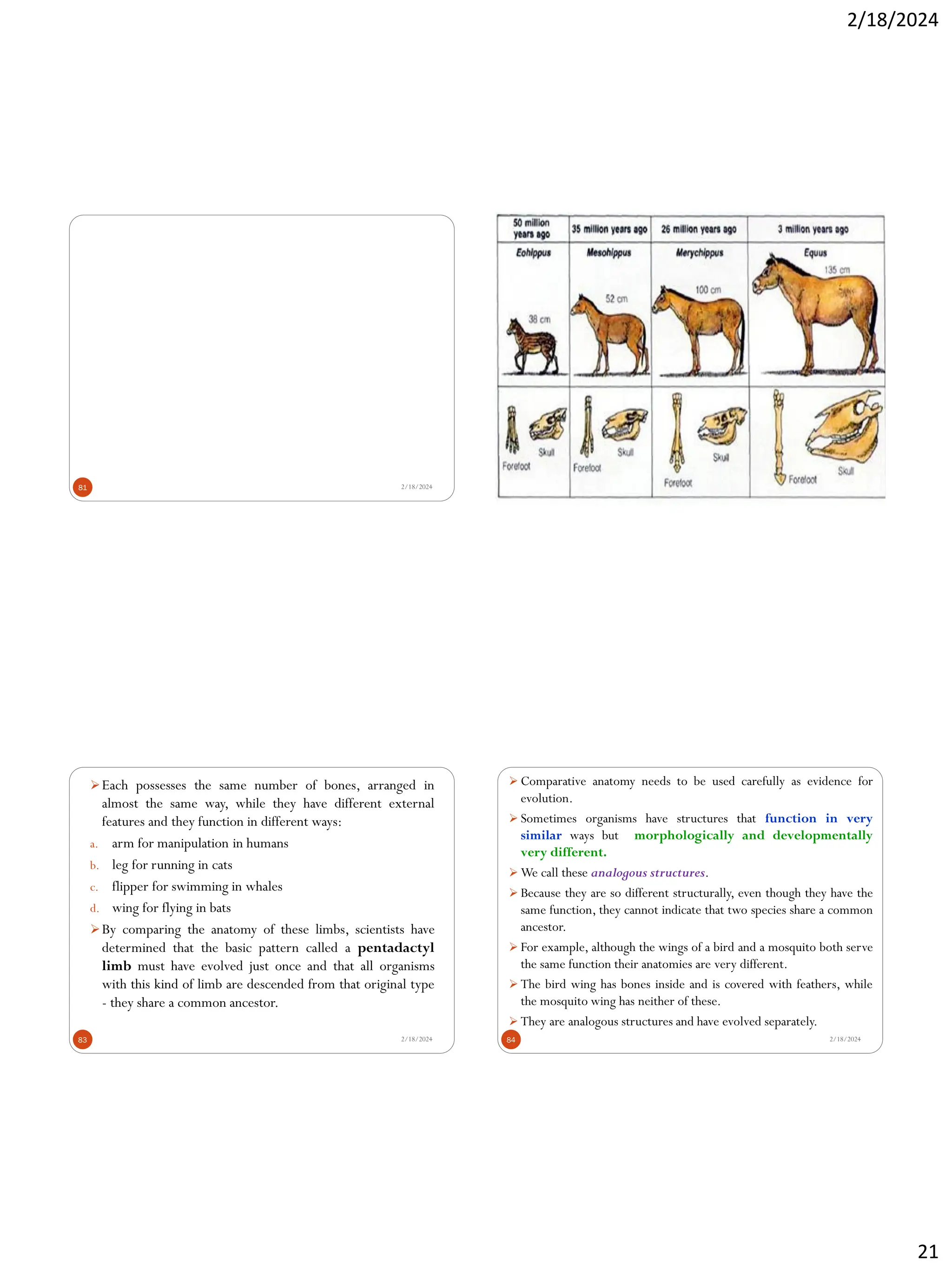 Grade 12 Biology teaching material on evolution | PDF