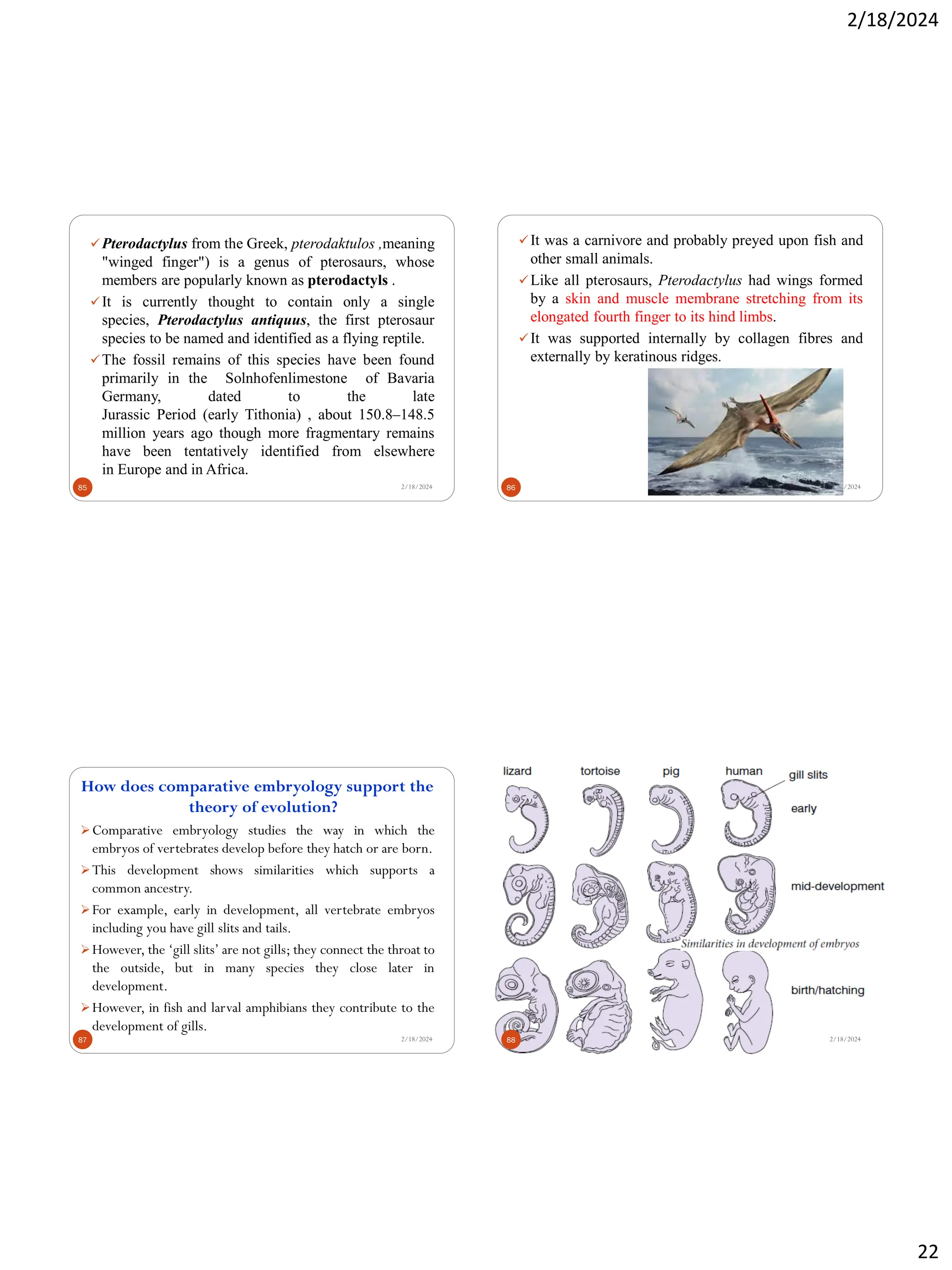 Grade 12 Biology teaching material on evolution | PDF