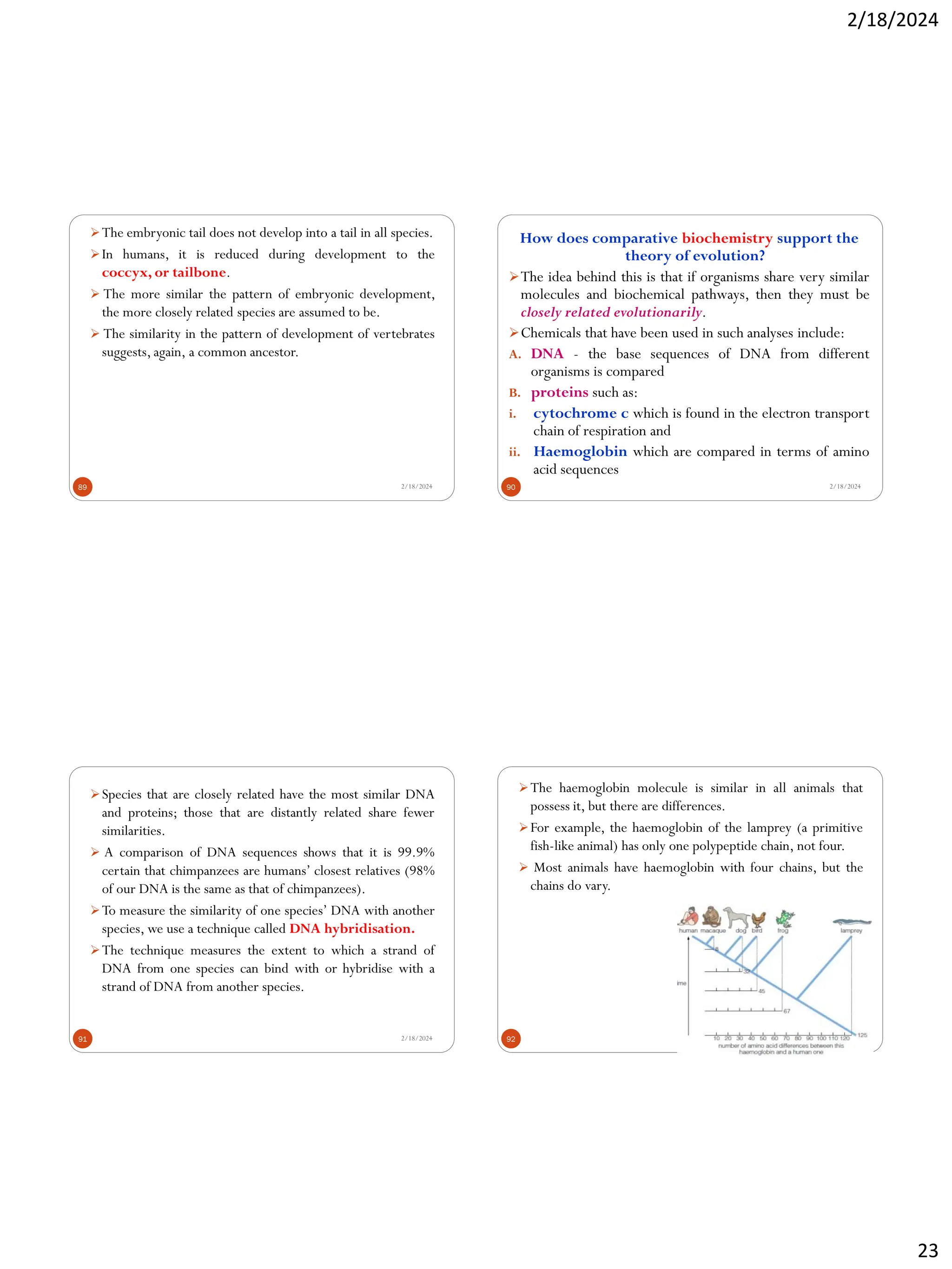 Grade 12 Biology teaching material on evolution | PDF