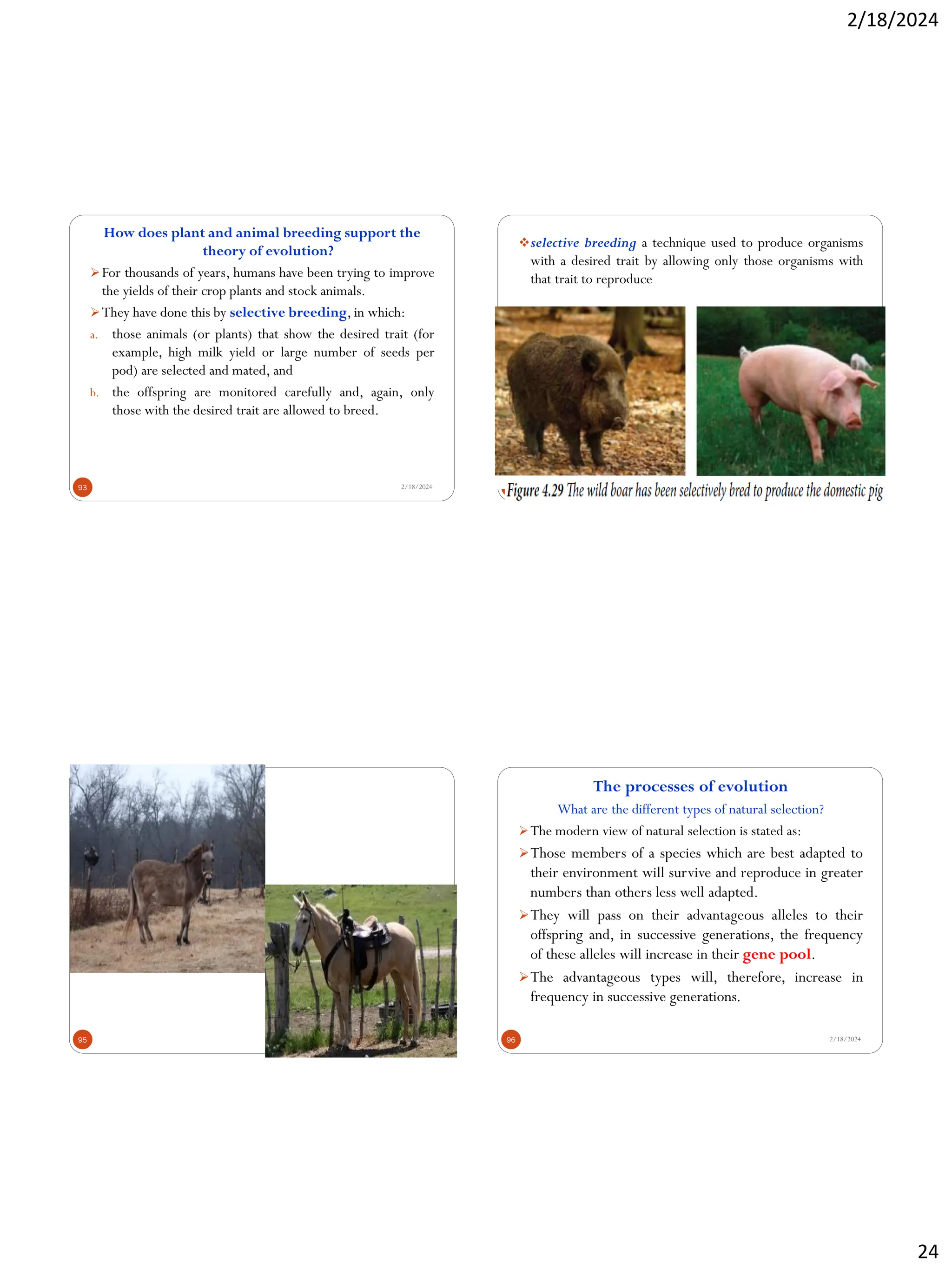 Grade 12 Biology teaching material on evolution | PDF
