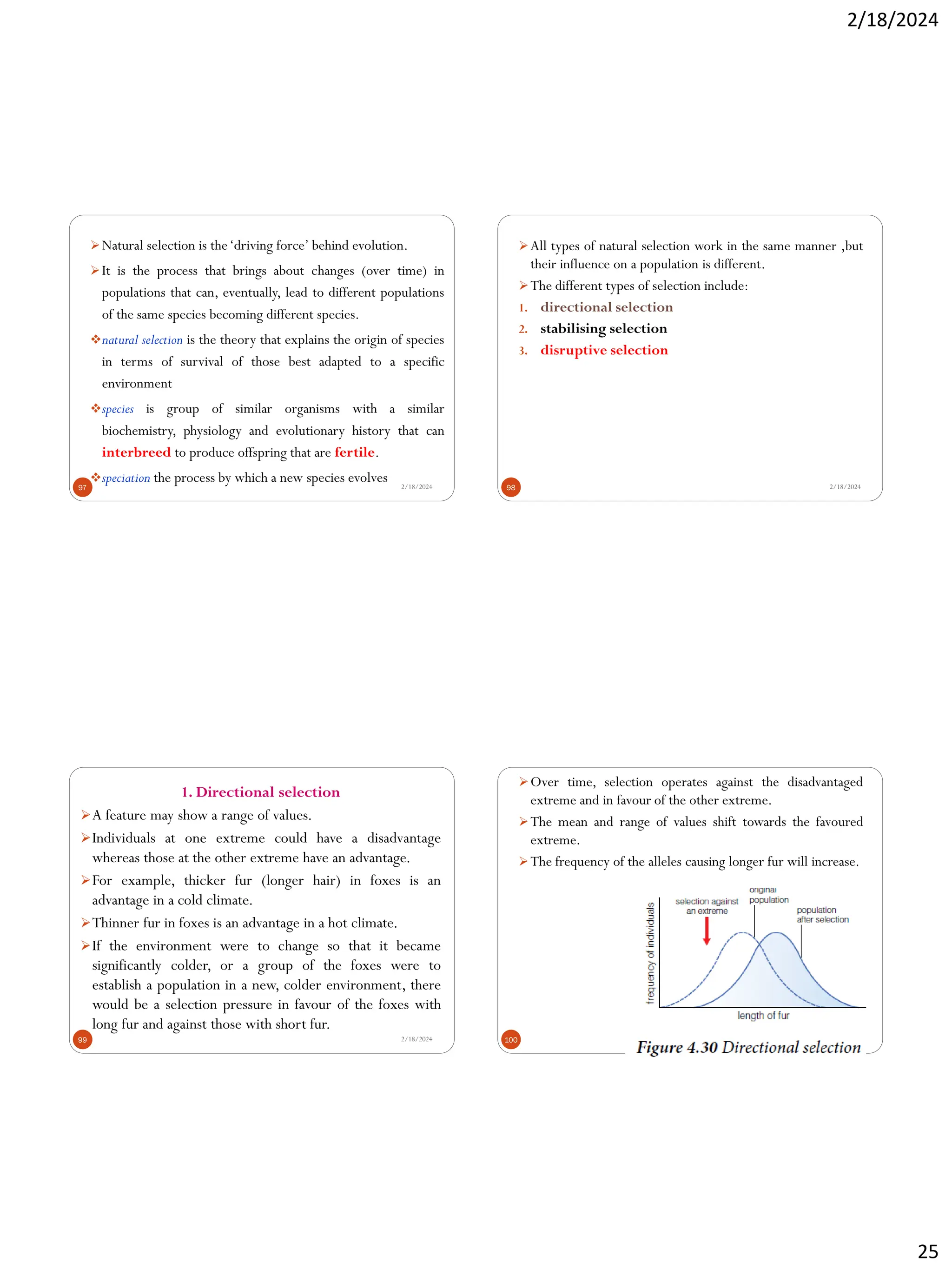 Grade 12 Biology teaching material on evolution | PDF