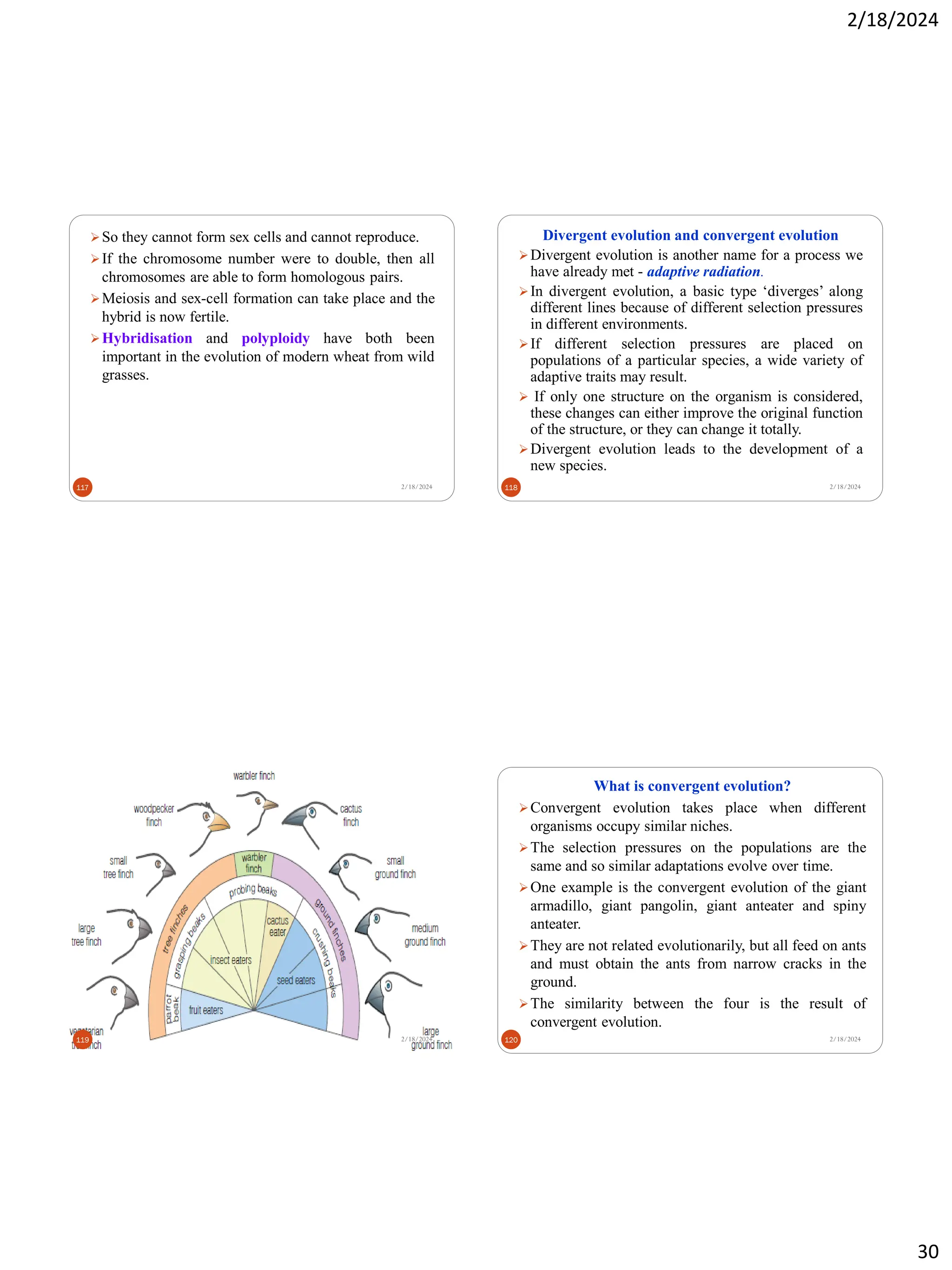 Grade 12 Biology teaching material on evolution | PDF