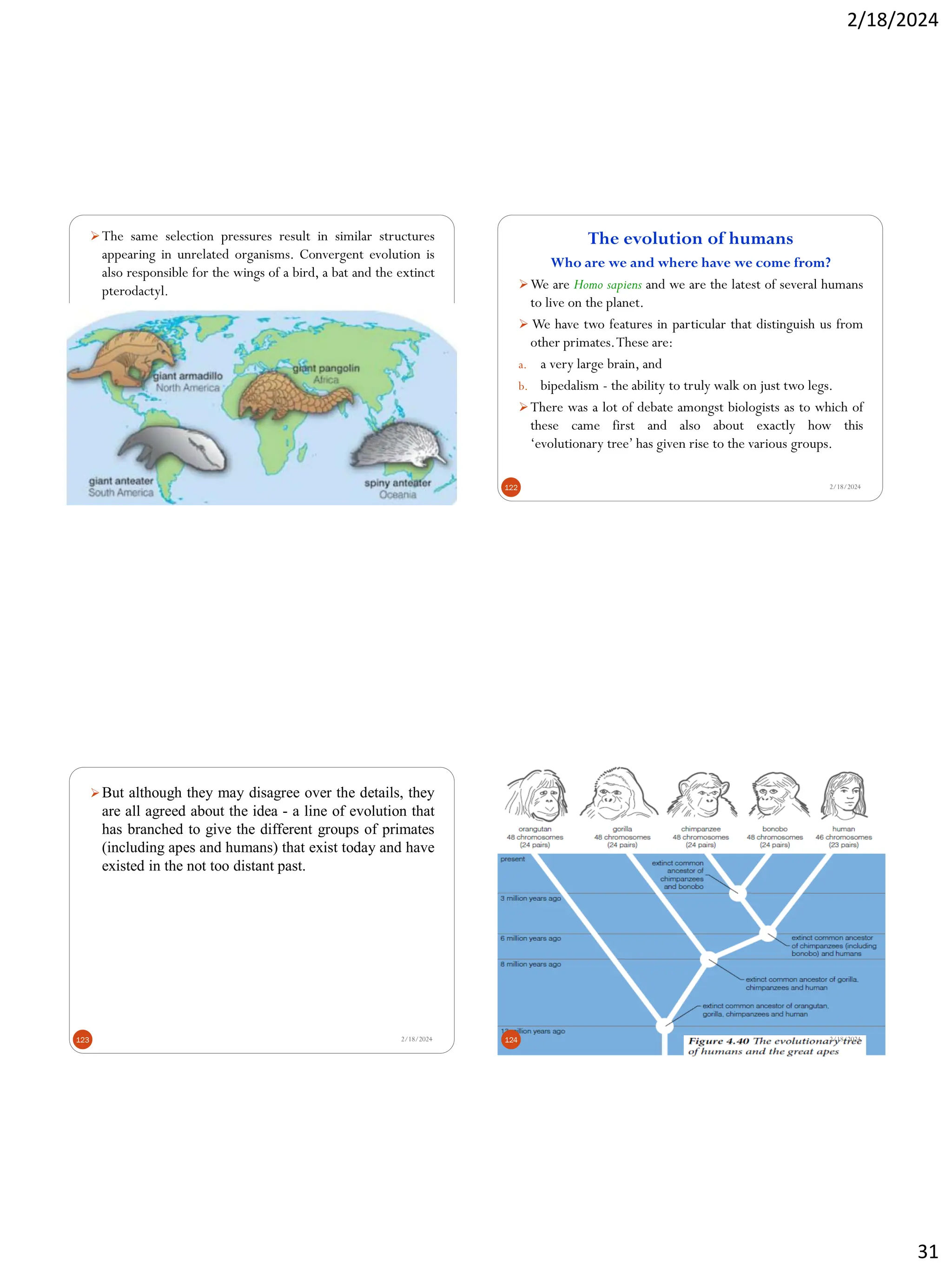 Grade 12 Biology teaching material on evolution | PDF