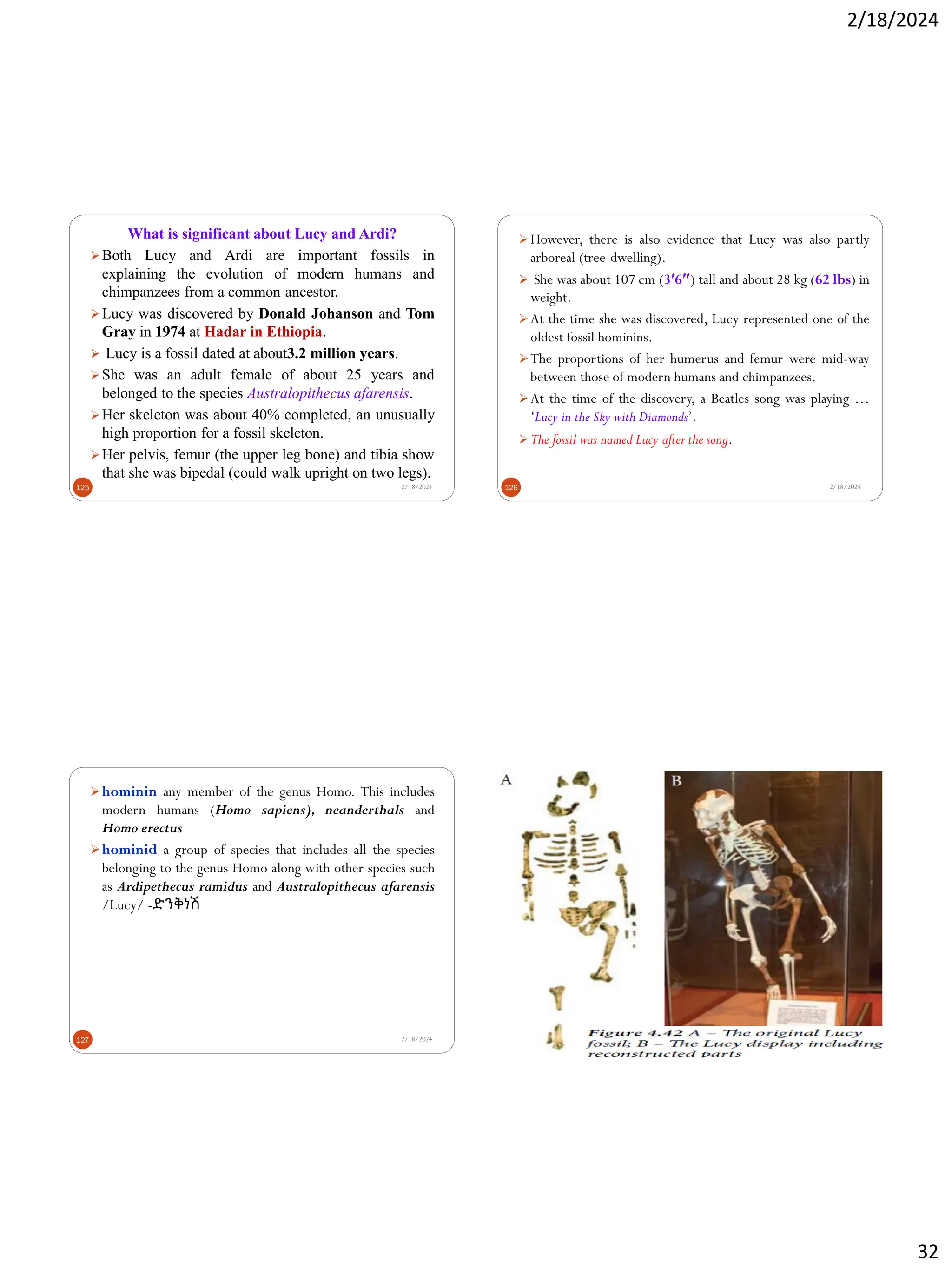 Grade 12 Biology teaching material on evolution | PDF