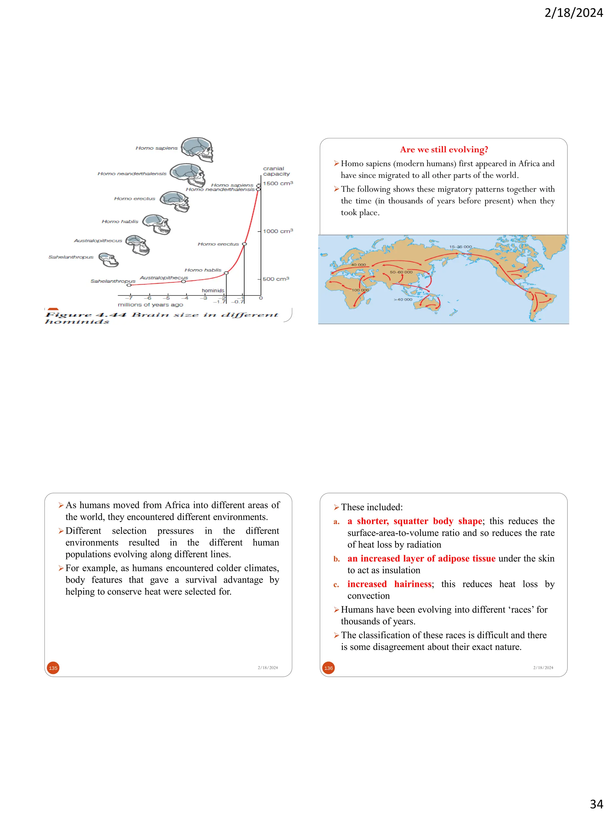 Grade 12 Biology teaching material on evolution | PDF