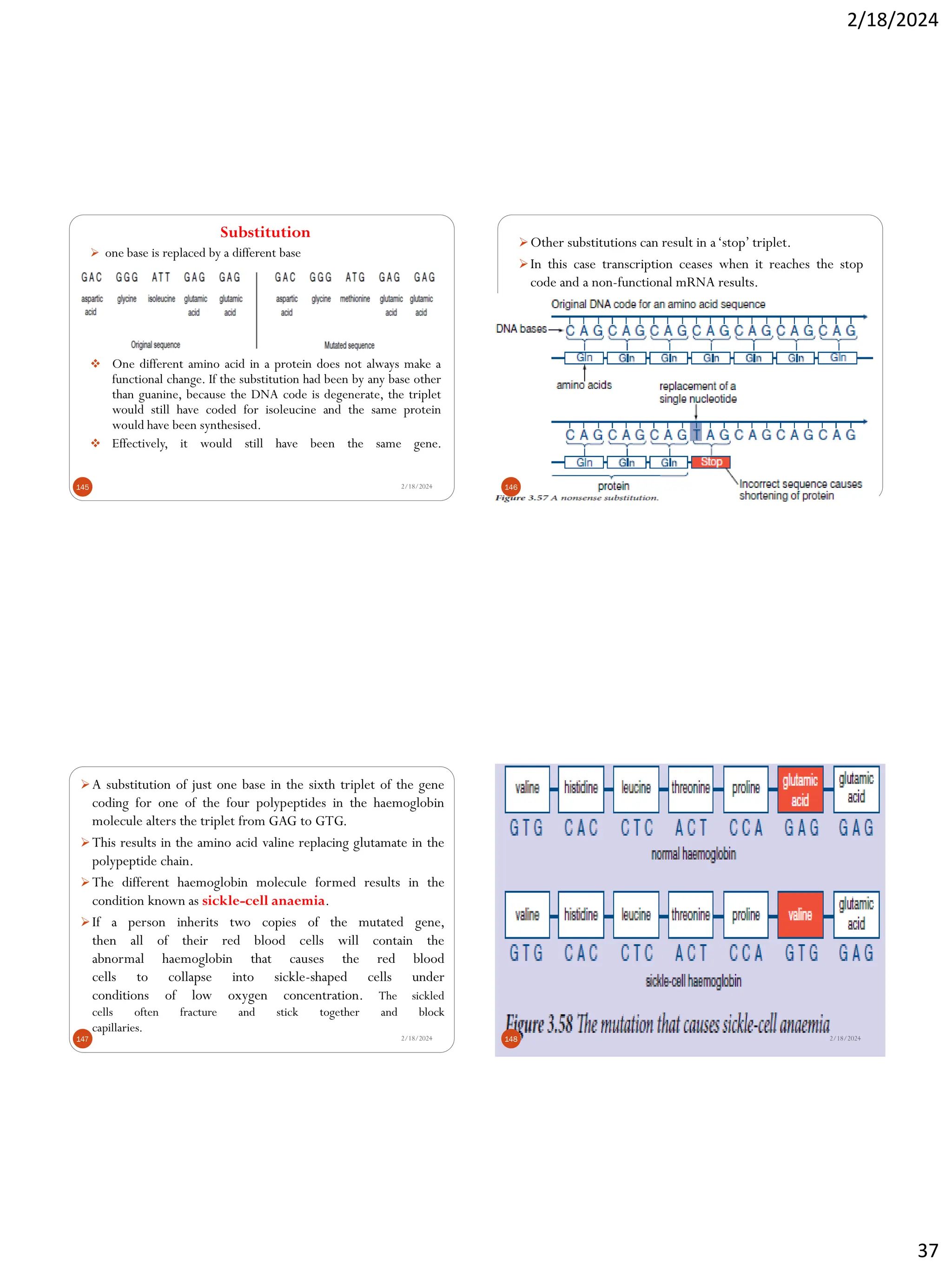 Grade 12 Biology teaching material on evolution | PDF