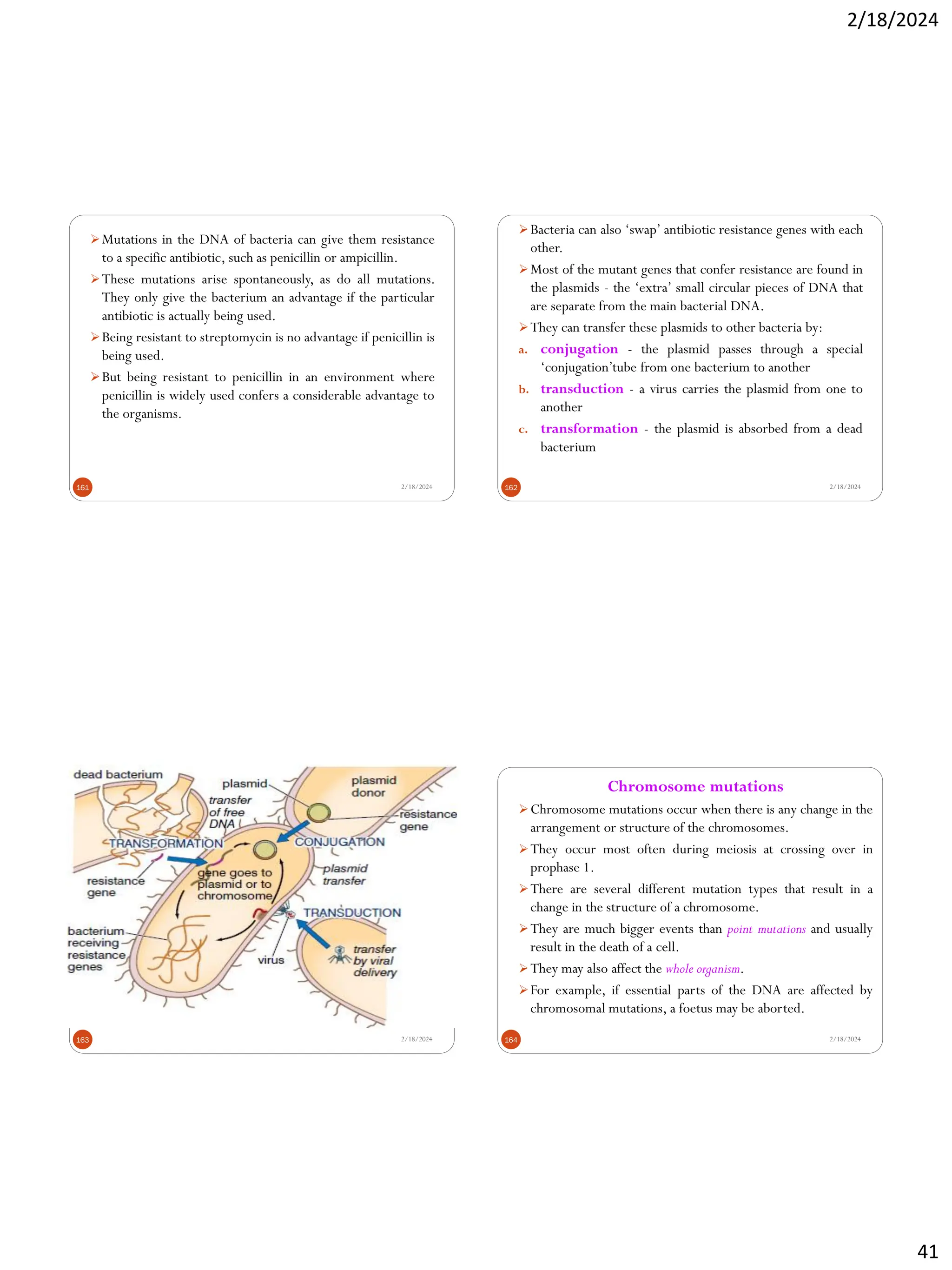 Grade 12 Biology teaching material on evolution | PDF