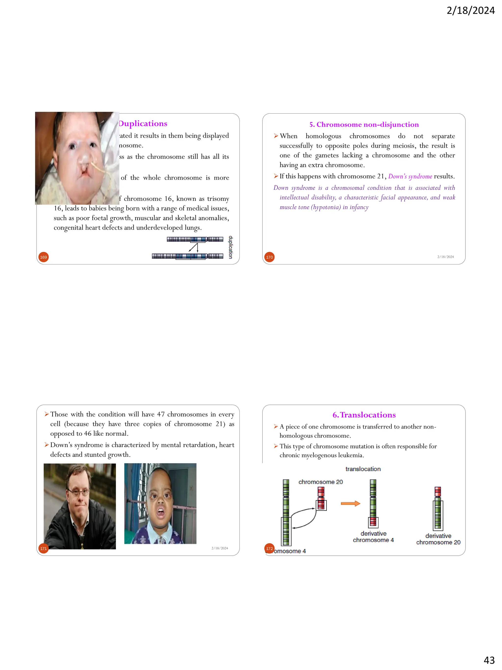 Grade 12 Biology teaching material on evolution | PDF