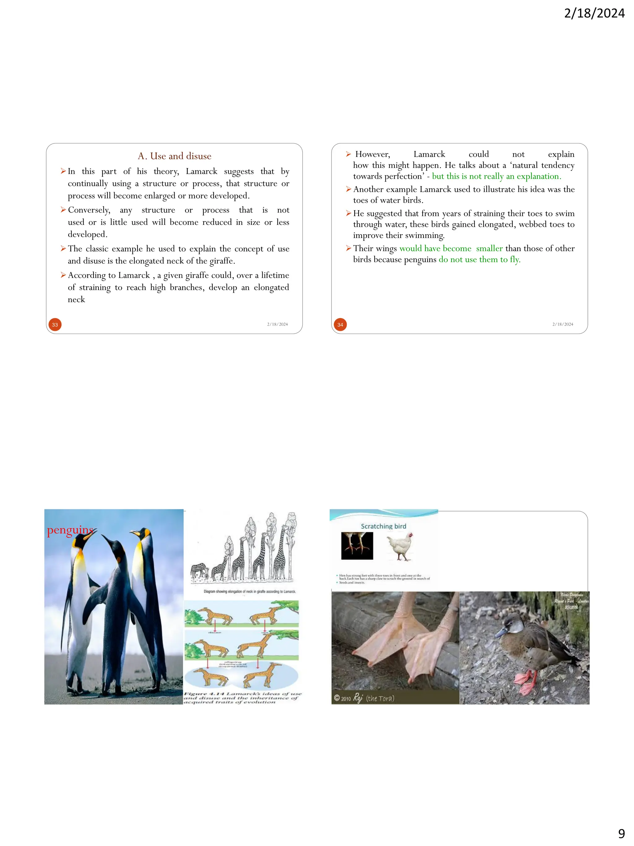 Grade 12 Biology teaching material on evolution | PDF