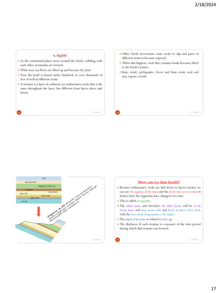 Grade 12 Biology teaching material on evolution | PDF