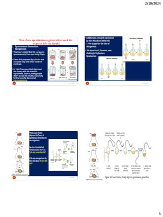 Grade 12 Biology teaching material on evolution | PDF