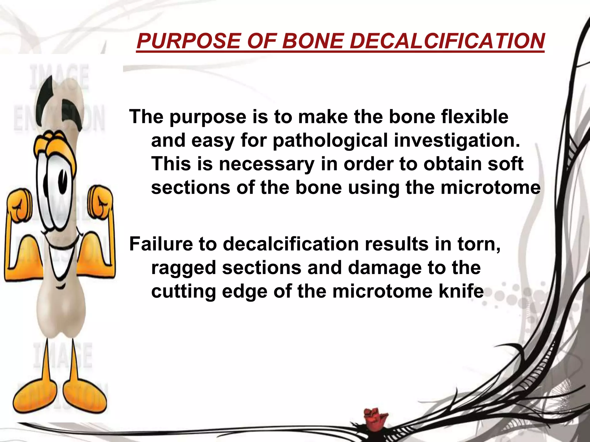 13 04-2015 bone biopsy and its decalcification stmu | PPT