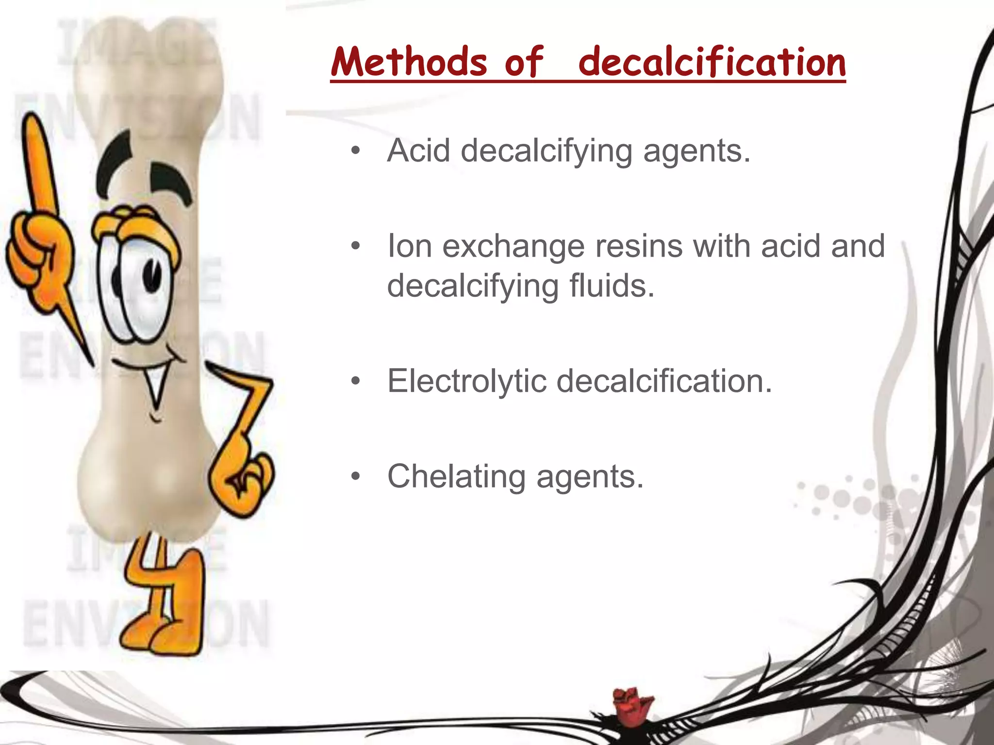 13 04-2015 bone biopsy and its decalcification stmu | PPT