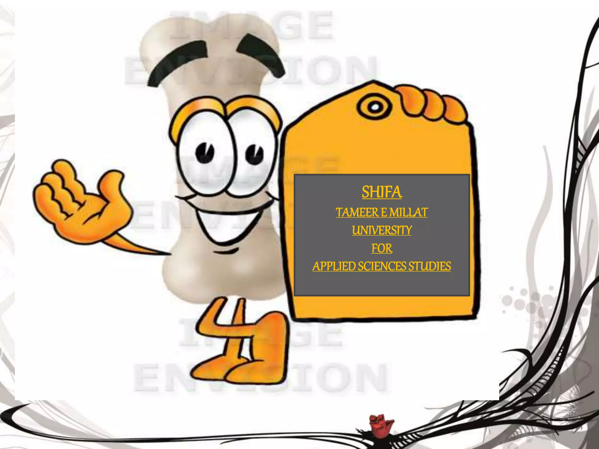 13 04-2015 bone biopsy and its decalcification stmu | PPT