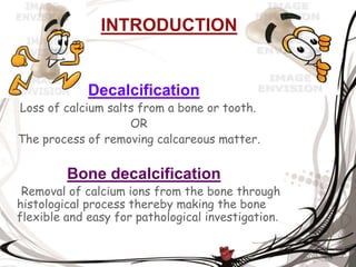 13 04-2015 bone biopsy and its decalcification stmu | PPT