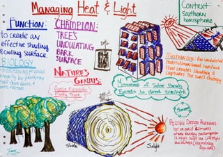 # 13 The Tree Bark | PDF