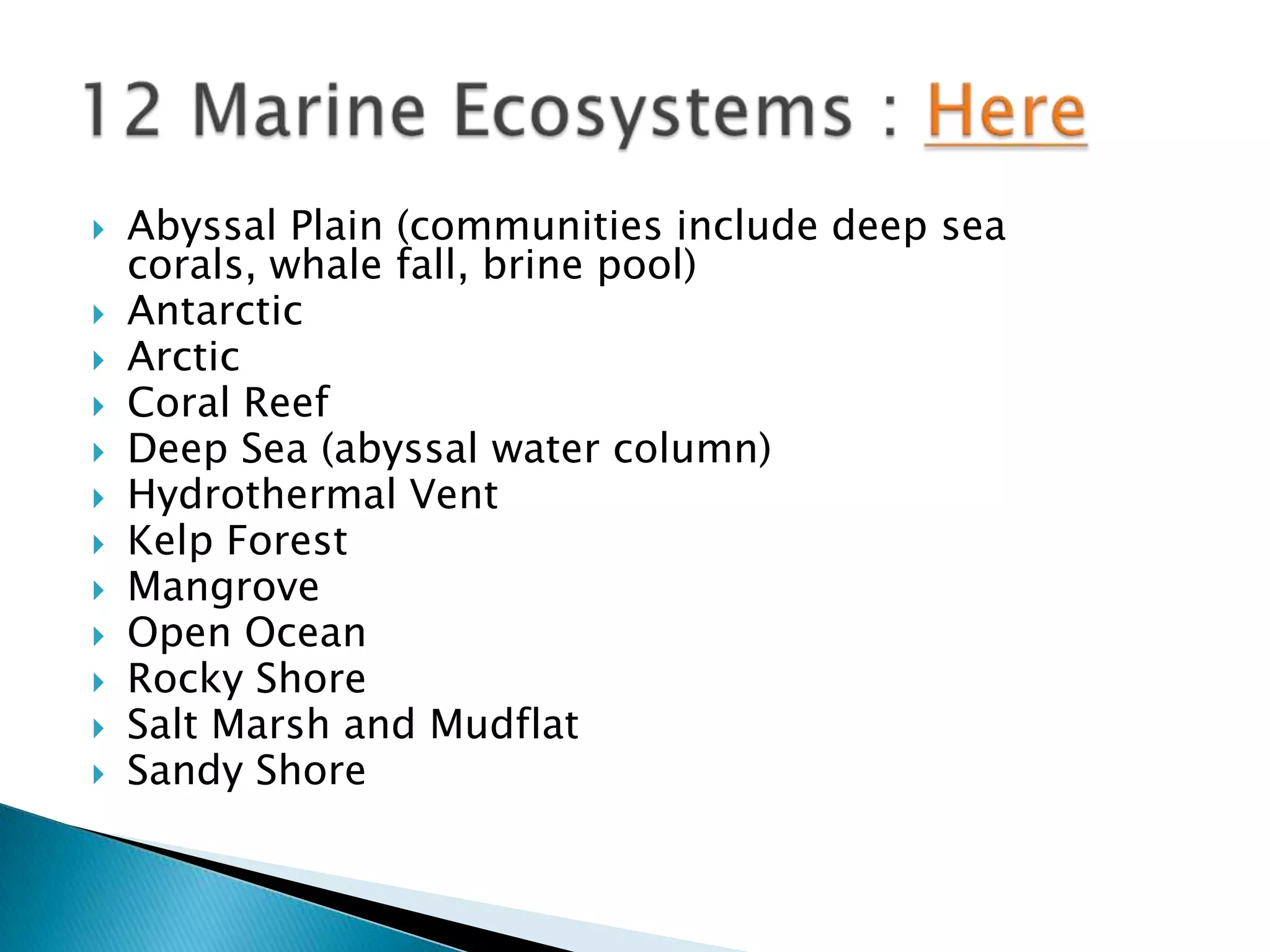 13 12 marine ecosystems | PPT