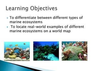 13 12 marine ecosystems | PPT