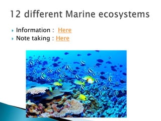 13 12 marine ecosystems | PPT