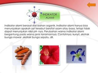Indikator Asam Basa (DRS) | PPTX