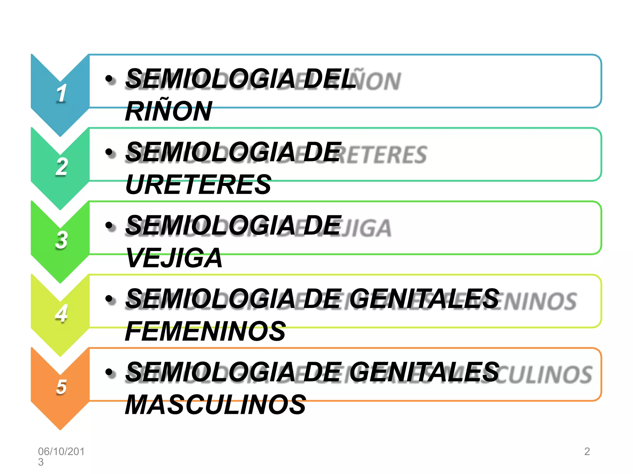 semiologia genitourinaria | PPTX