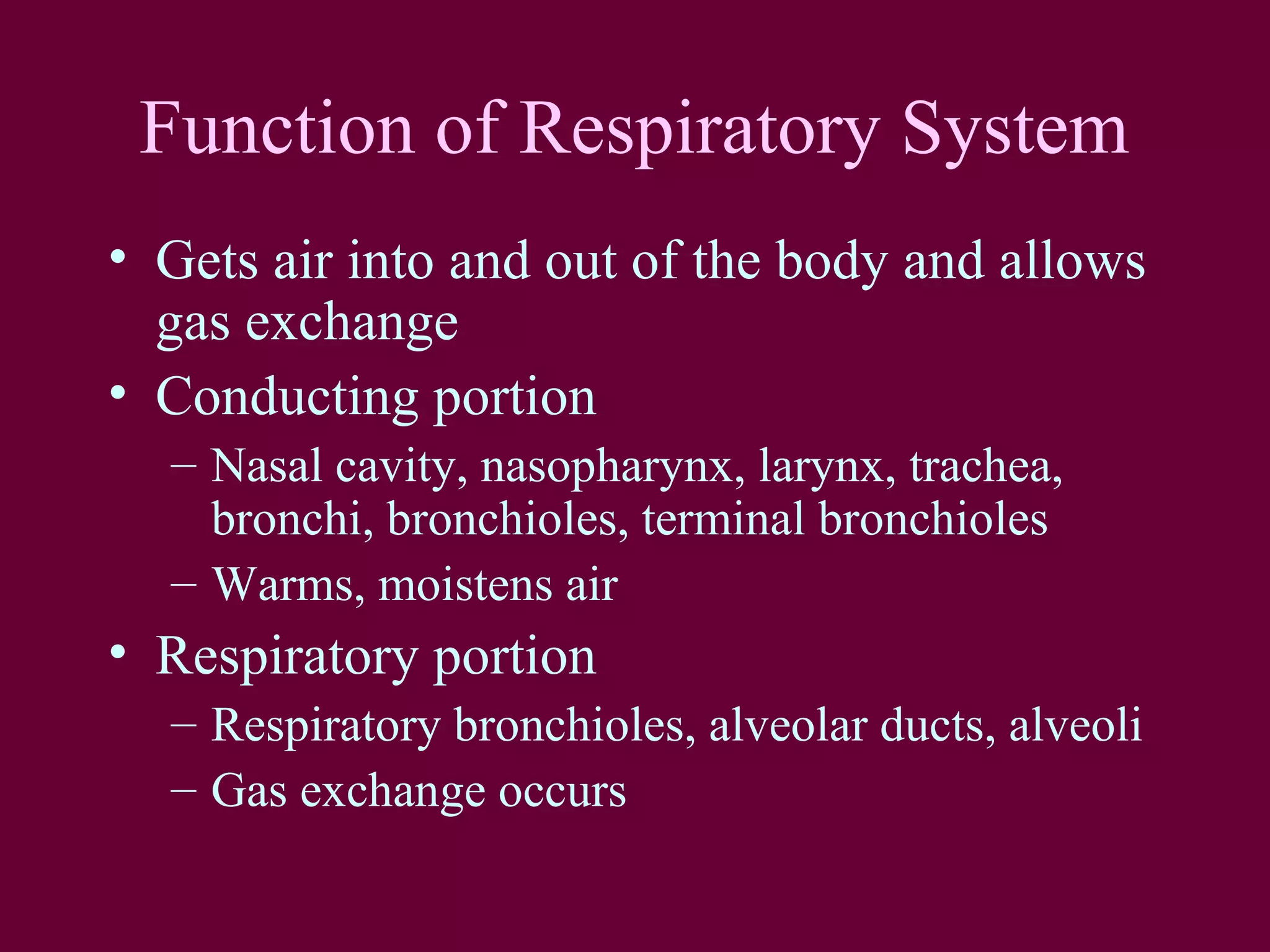 13. respiratory49 | PPT