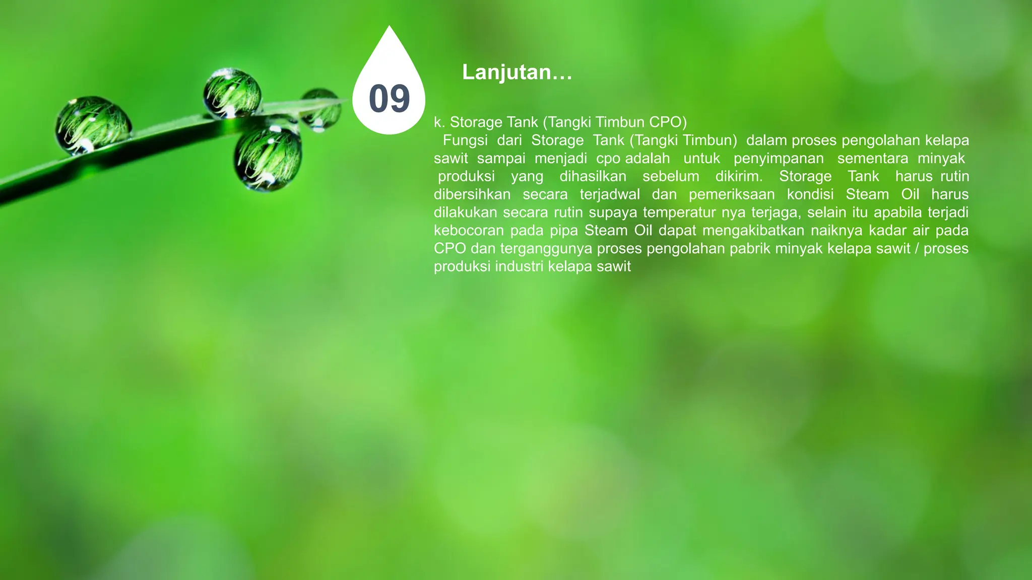 13 - 14. PENGOLAHAN PABRIK DAN HASIL AKHIR KELAPA SAWIT.pptx