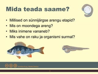 13.sünnijärgne areng sünnist surmani | PPTX