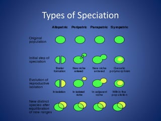 Speciation | PPTX