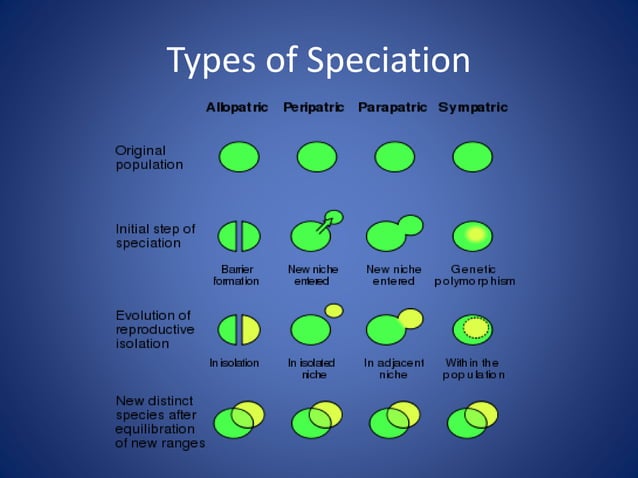 Speciation | PPTX | Infertility | Reproductive Health