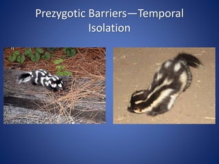 Temporal Isolation Definition