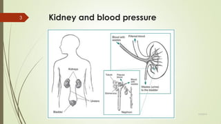 Hypertension and renal diseases | PDF