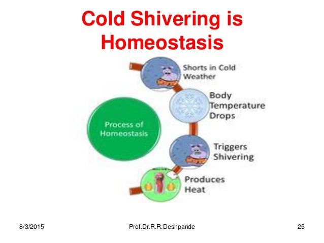Homeostasis,cell physiology -- By Prof.Dr.R.R.Deshpande