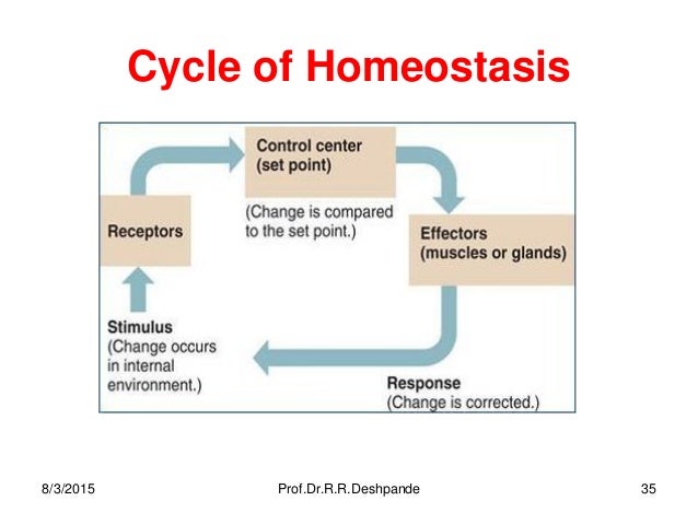 Homeostasis,cell physiology -- By Prof.Dr.R.R.Deshpande