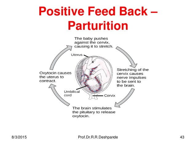 Homeostasis,cell physiology -- By Prof.Dr.R.R.Deshpande